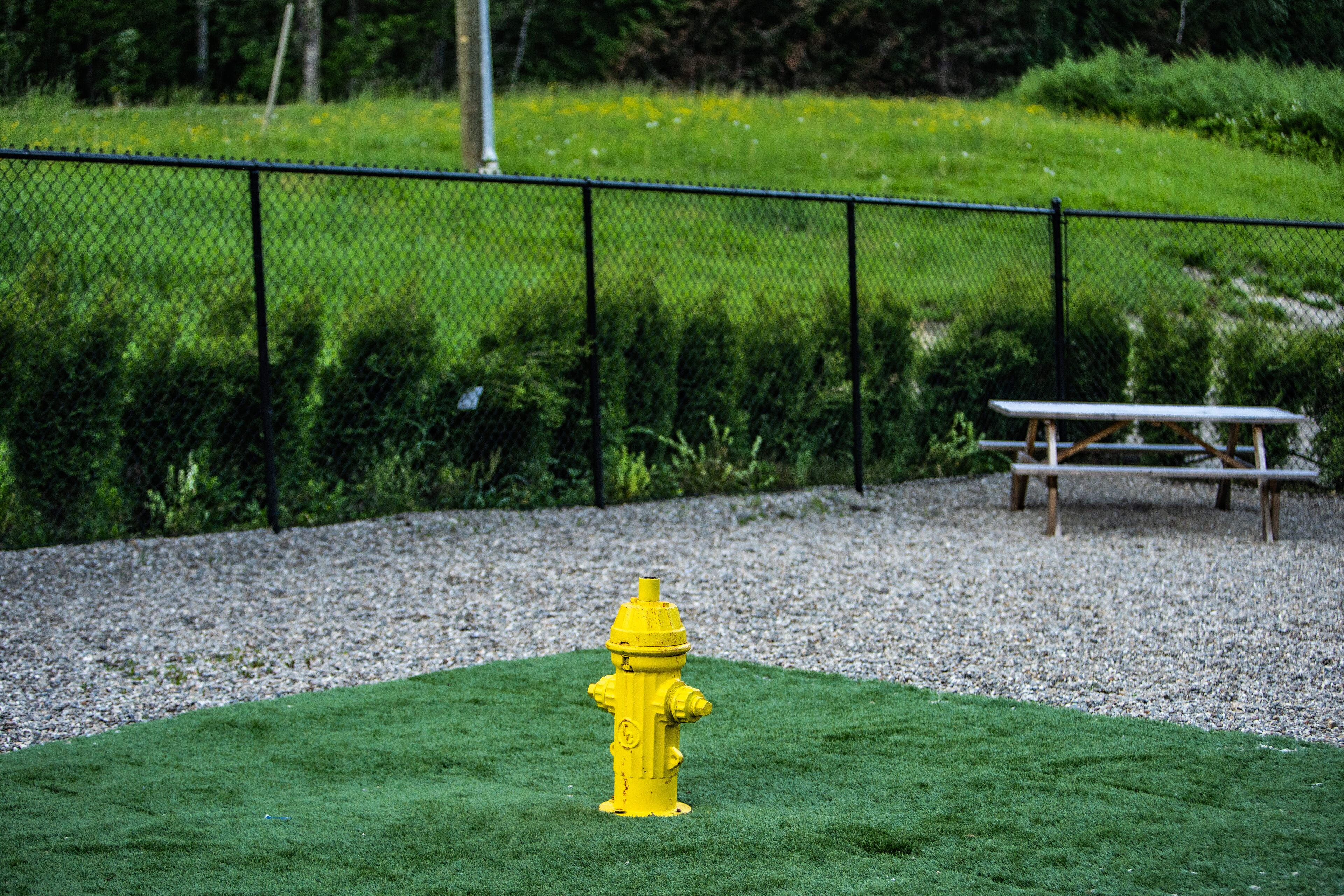 Um hidrante amarelo em um gramado verde, com uma mesa de piquenique e uma cerca de arame farpado ao fundo.