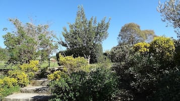 Jardim