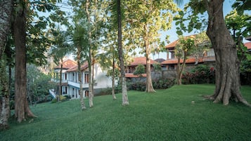 Área da propriedade