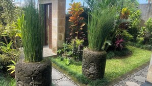 Jardim bem cuidado com diversas plantas e elementos decorativos de pedra.