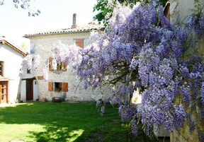 Um edifício de pedra com um jardim e flores roxas.