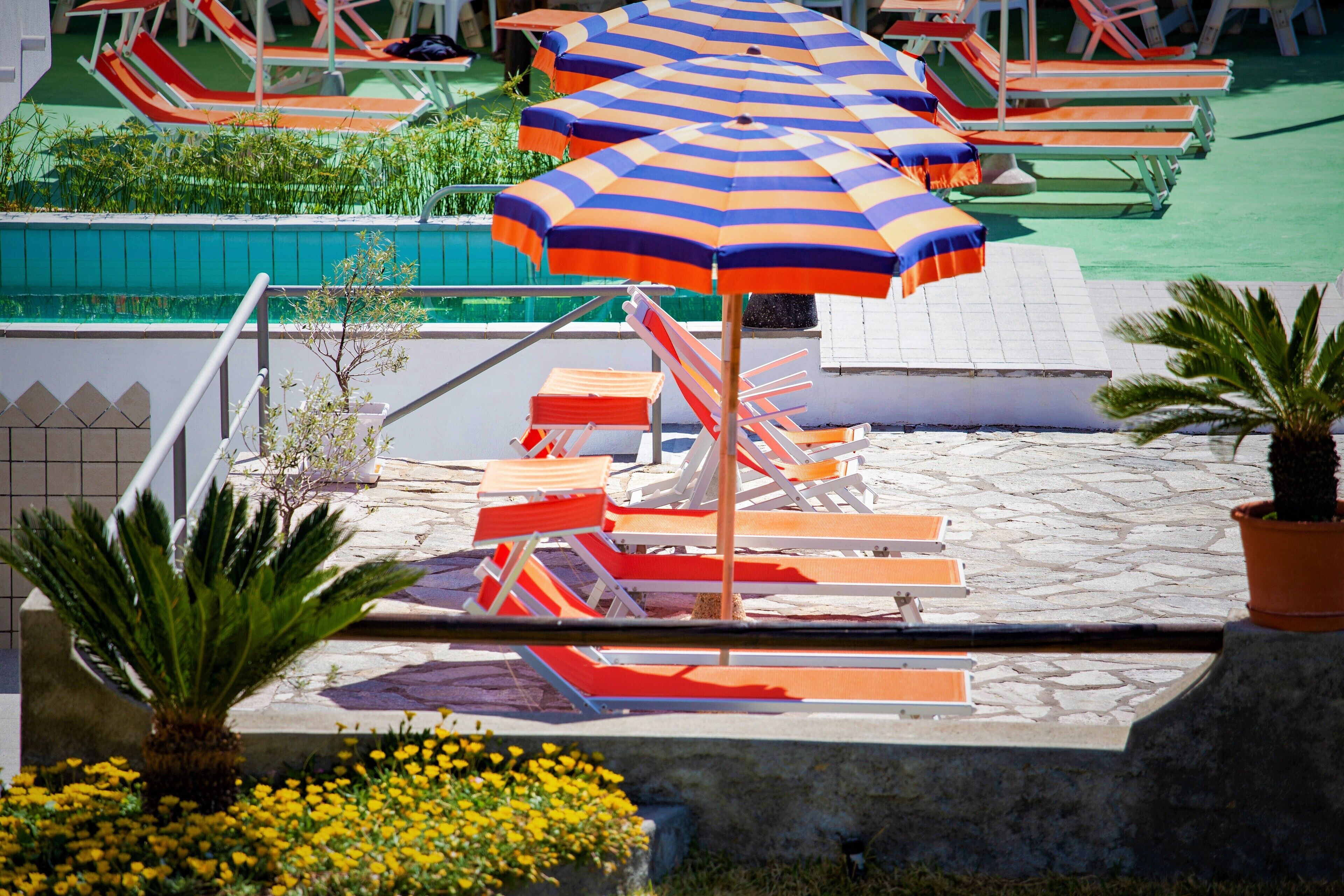 Área ao lado da piscina com espreguiçadeiras e guarda-sóis, uma piscina e plantas em vasos.