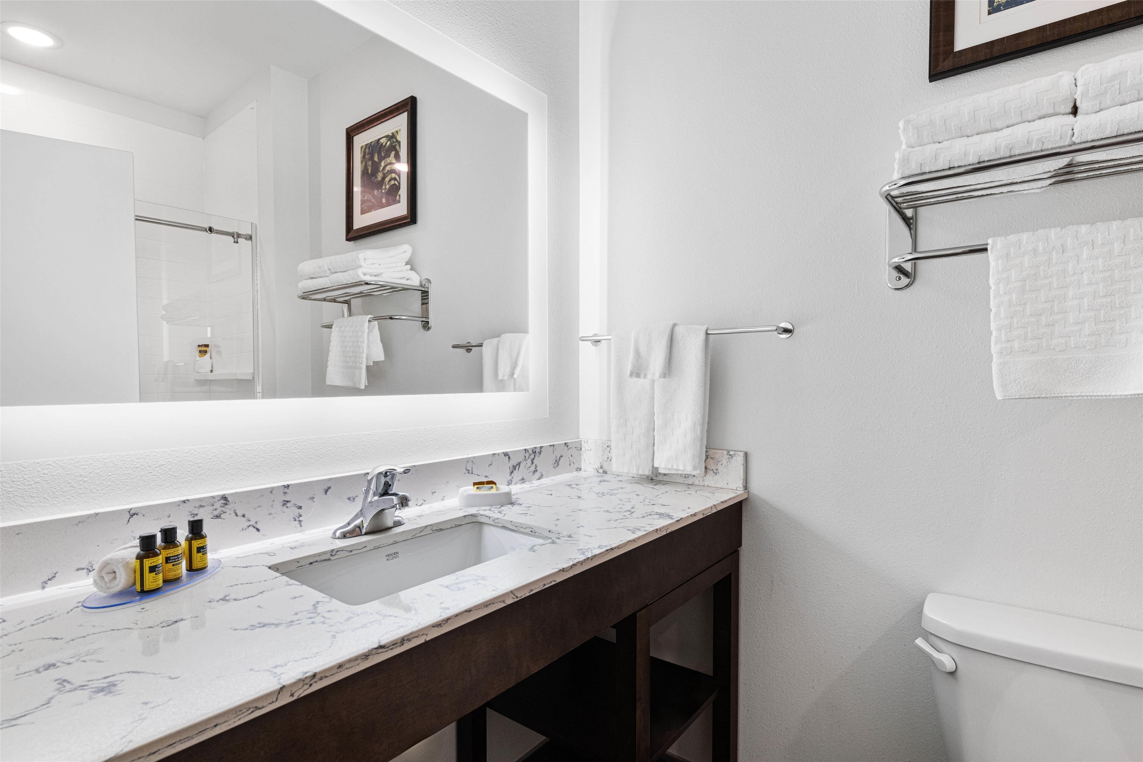 Um banheiro com pia de mármore, um espelho grande, vaso sanitário e porta-toalhas.