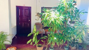 A porta de entrada leva a um quarto com porta de madeira, planta em vaso e uma cadeira.