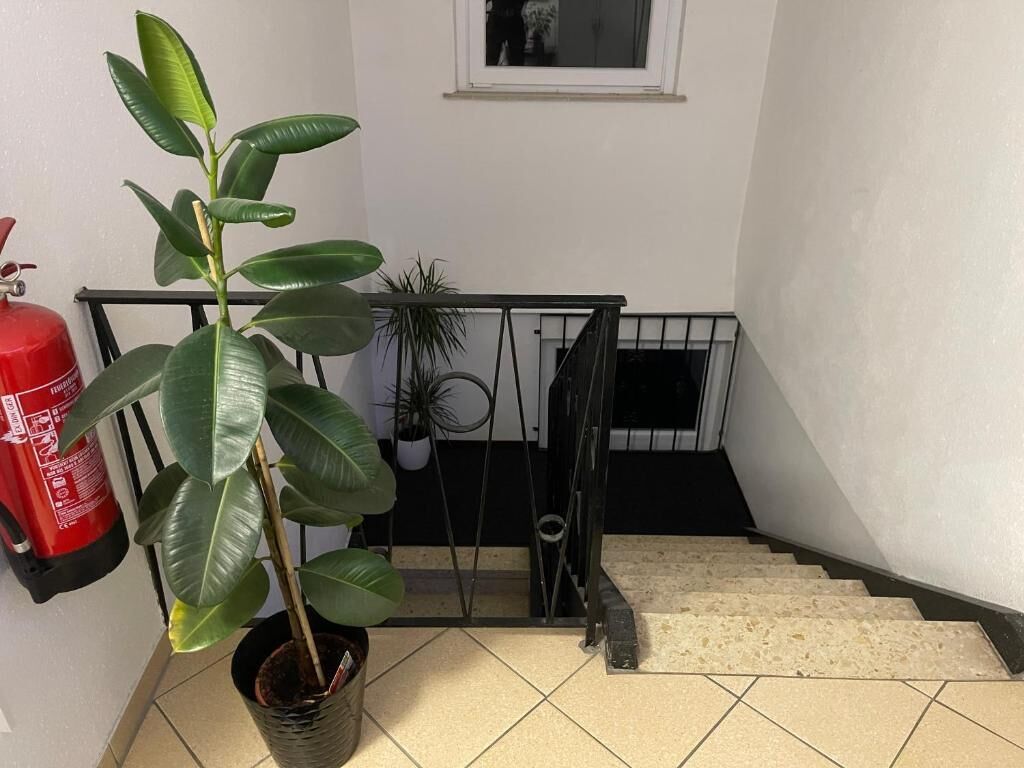 Uma escadaria com um vaso de planta à esquerda e um extintor de incêndio na parede.
