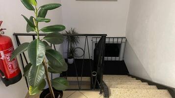 Uma escadaria com um vaso de planta à esquerda e um extintor de incêndio na parede.