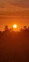 Um pôr do sol com o sol baixo no horizonte, palmeiras em silhueta e céu limpo.