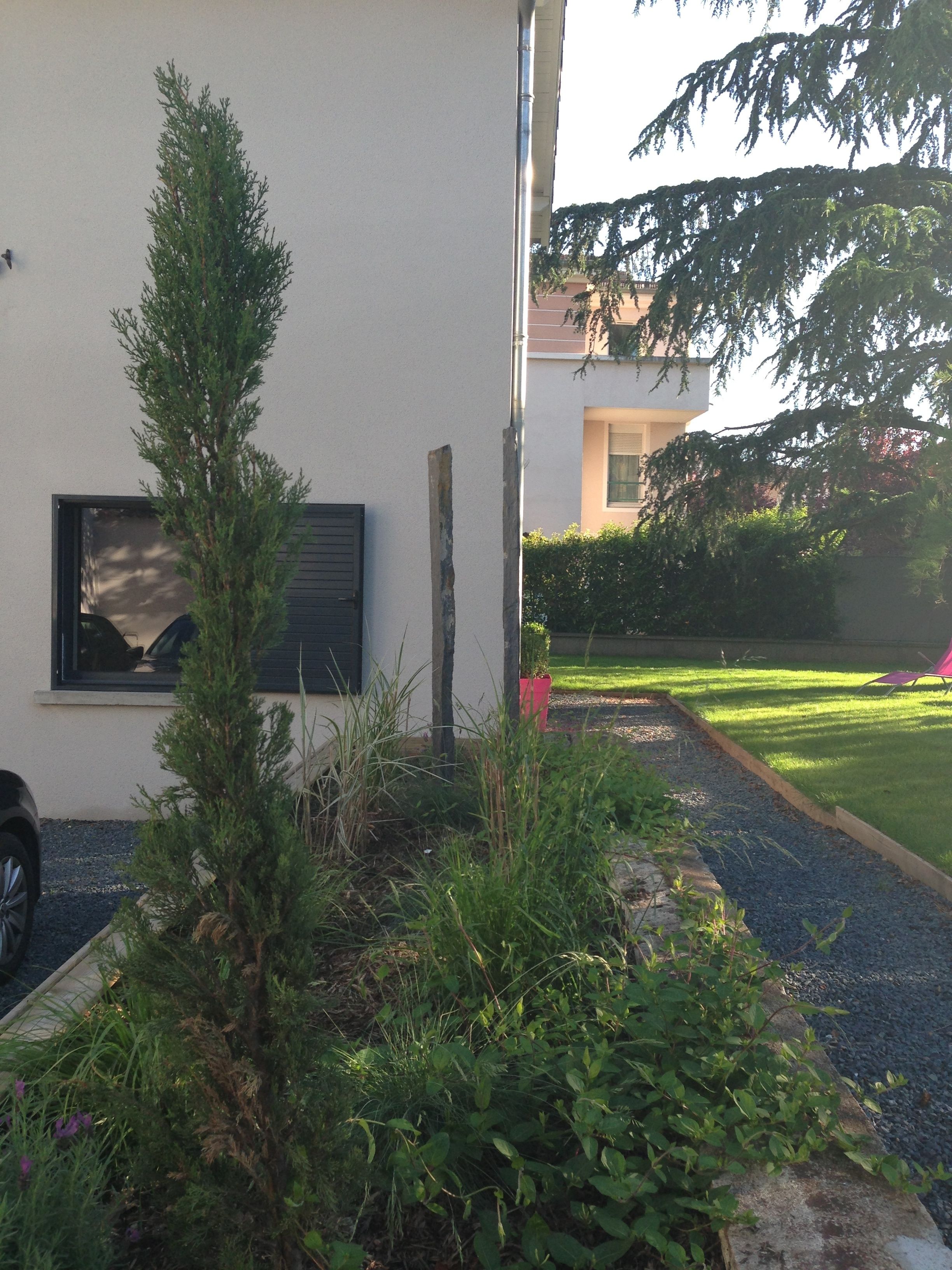Um jardim residencial com uma pequena árvore, um poste de madeira e uma janela com um quadro.