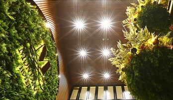 Fachada do alojamento