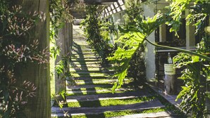 Uma pérgola de madeira com plantas trepadeiras, um caminho de pedra xadrez e um edifício ao fundo.