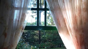 Janela com cortinas translúcidas, moldura verde e vista de um jardim bem cuidado, com grama e arbustos.