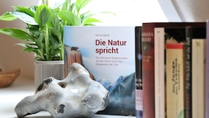 Um livro intitulado "Die Natur spricht" de Amira Meyer, uma planta em vaso e uma escultura de pedra em uma estante.