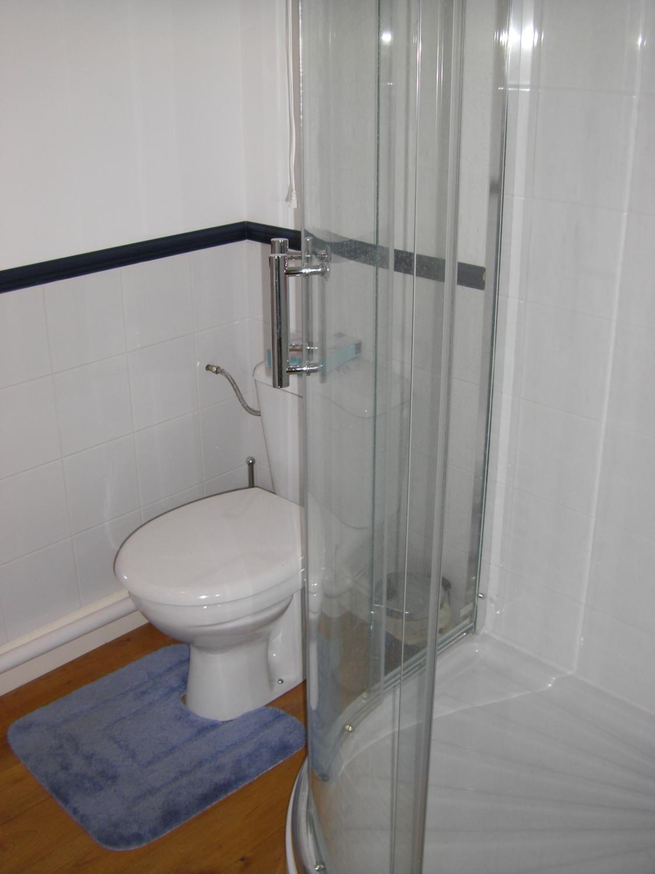 Casa de banho com sanita, cabine de duche em vidro e tapete de banho azul.