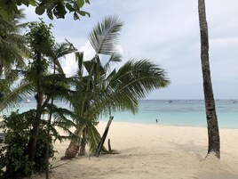 Uma praia com palmeiras e vista clara para o oceano.