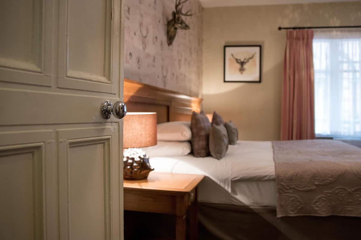 Quarto com cama, travesseiros, mesa de cabeceira, luminária, cabeça de veado pendurada na parede e janela com cortinas.