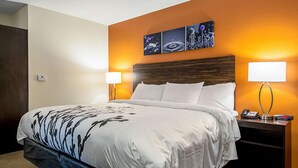 Quarto de hotel com uma cama grande, duas luminárias de cabeceira, uma mesa de cabeceira com telefone e uma obra de arte na parede acima da cama.
