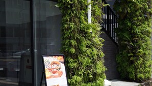 Placa anunciando café da manhã, escadaria e parede coberta de vegetação.
