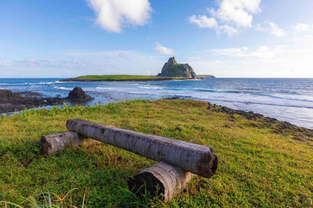 Paisagem costeira com gramado em primeiro plano, um tronco de madeira e um afloramento rochoso distante à beira-mar.