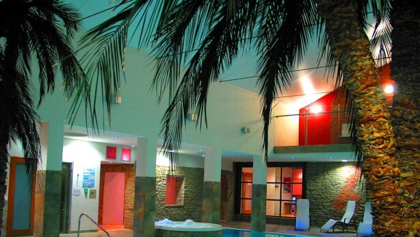 Piscina interior com parede de pedra e palmeiras.