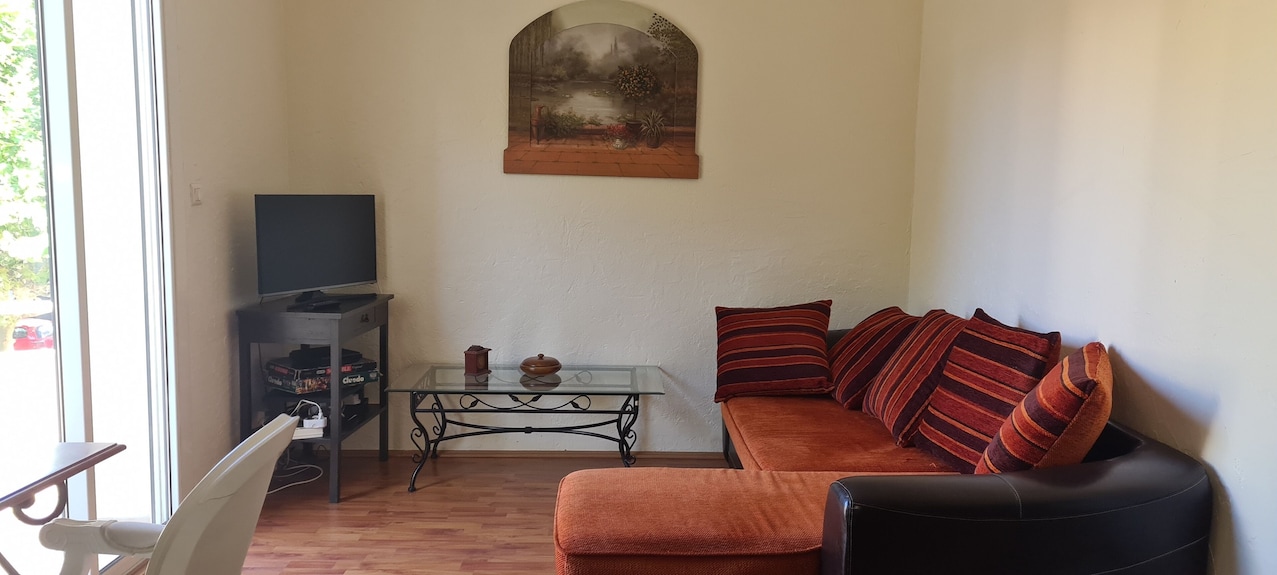 Large Character Apartment (150m²) / Terrace / Air-conditioned / - 페르피냥