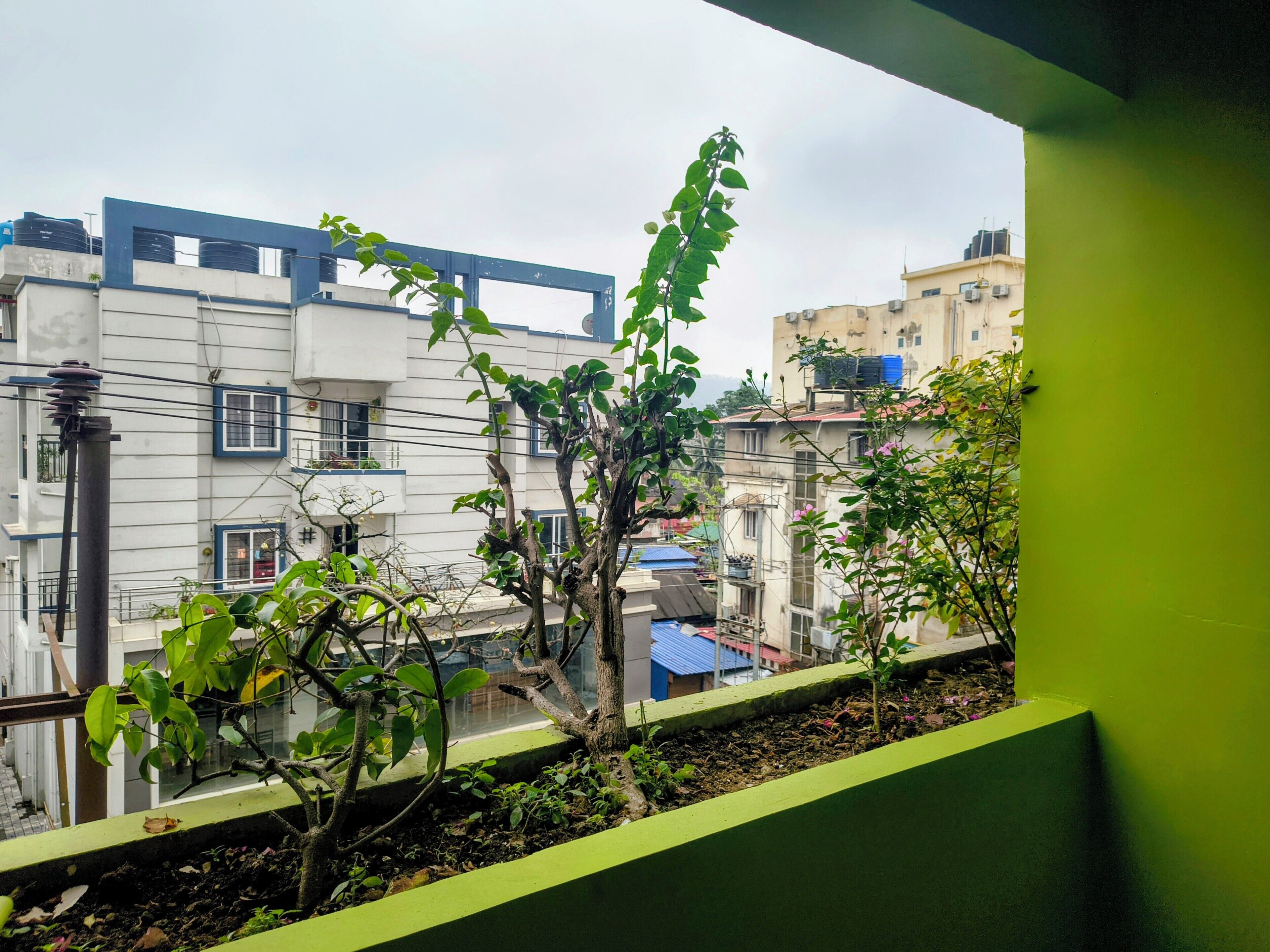 Vista de um edifício com várias janelas e varandas, rodeado por vegetação e céu claro.