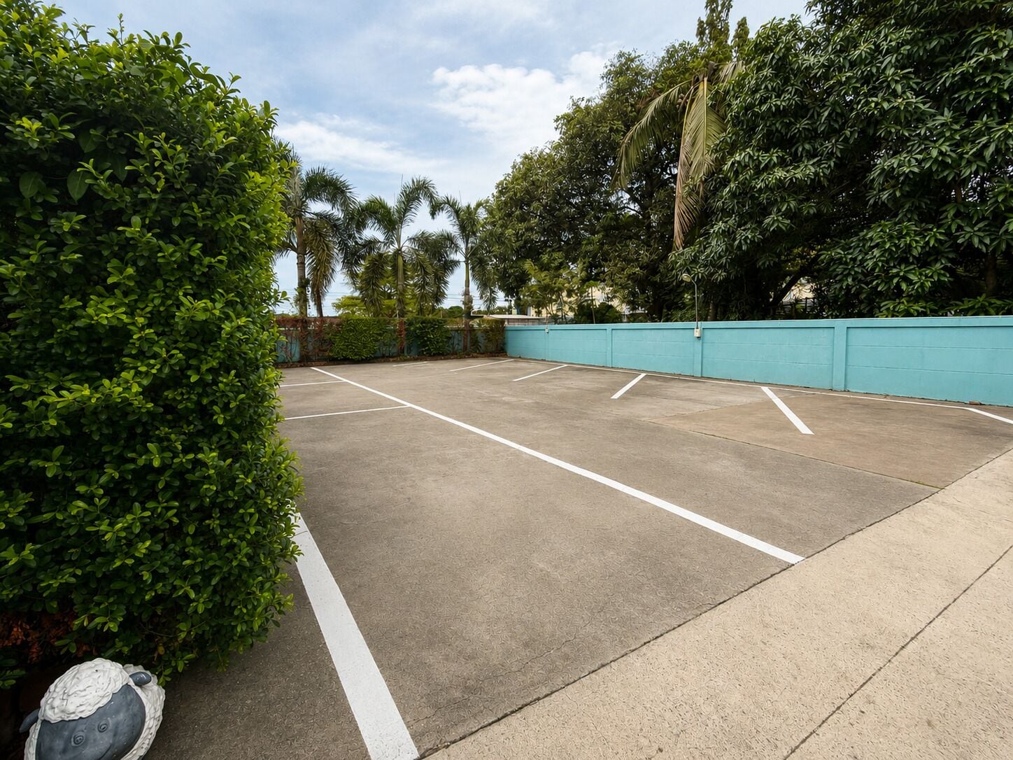 Um estacionamento ao ar livre com superfície de concreto e linhas de estacionamento brancas, cercado por folhagem verde densa e uma parede azul.