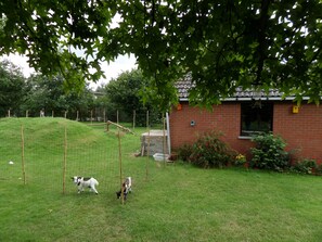 Jardim