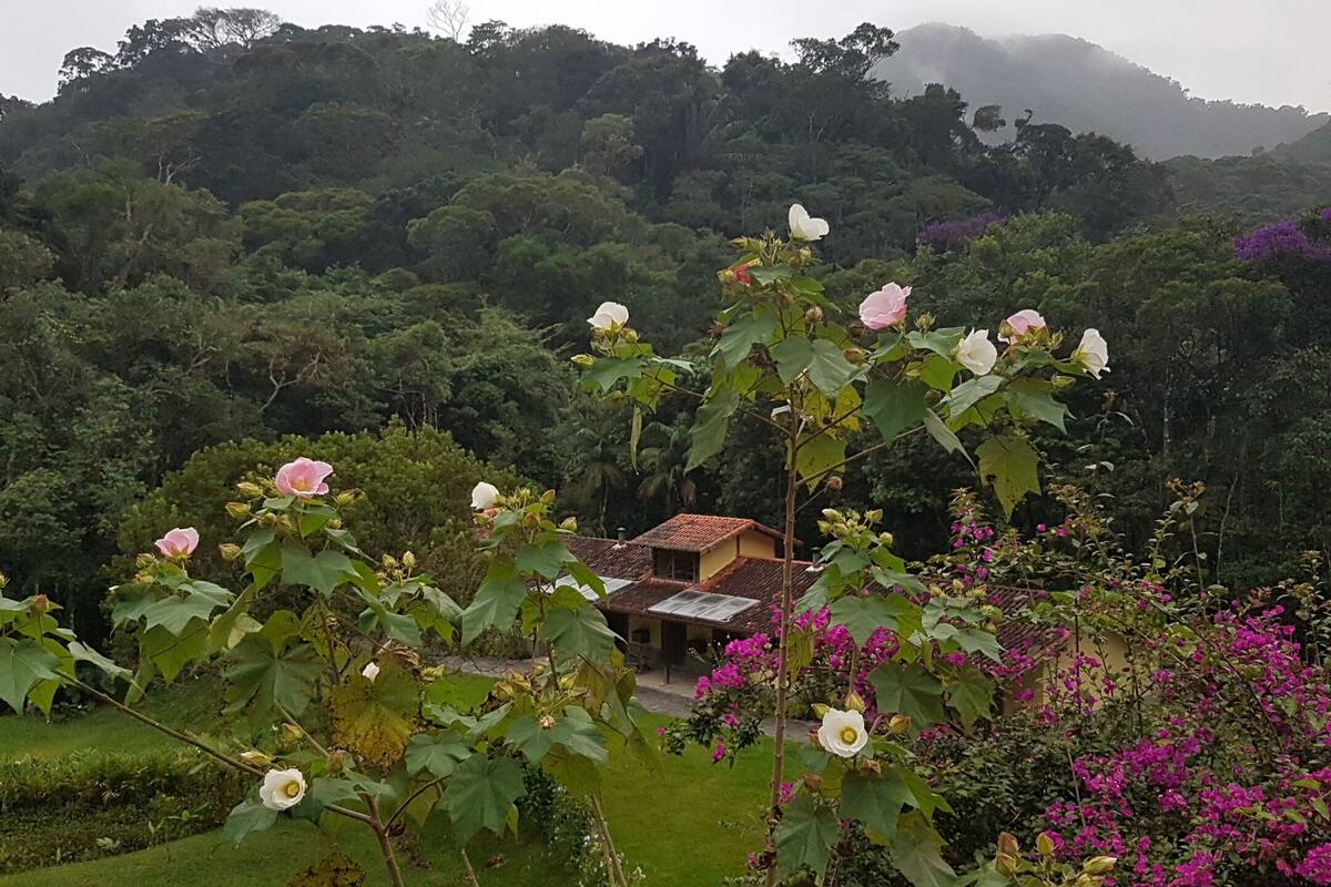 Uma casa rodeada por vegetação exuberante e plantas floridas.