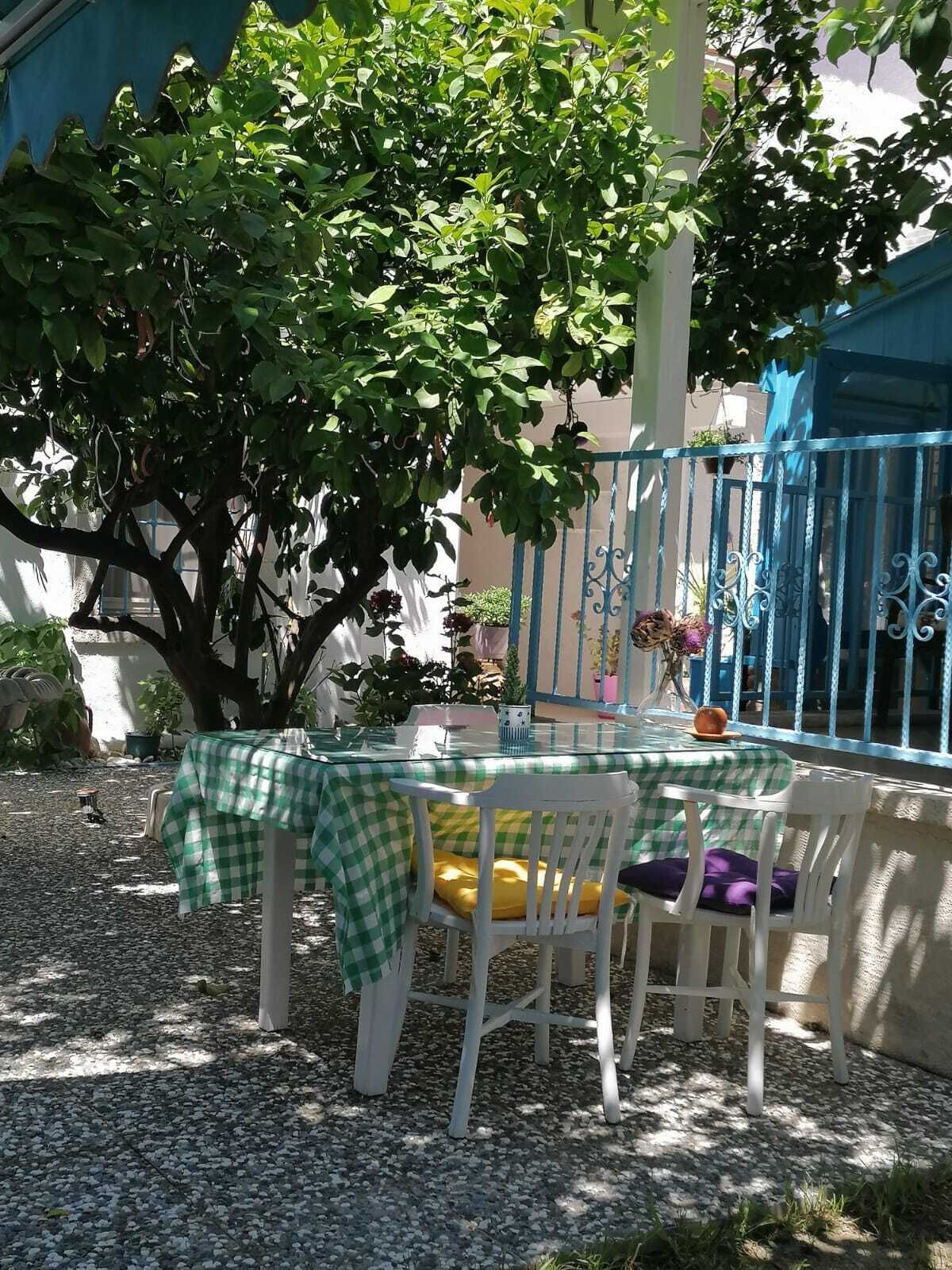 Mesa posta ao ar livre com toalha quadriculada, rodeada por cadeiras brancas com almofadas.