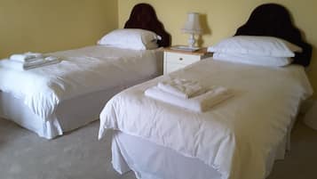 Quarto Twin, 2 camas individuais, casa de banho anexa | Roupa hipoalergénica, ferro/tábua de engomar, Wi-fi grátis