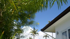 Uma casa moderna com porta de madeira, rodeada por plantas tropicais e um caminho de cascalho que leva à entrada.