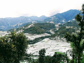 Vista da propriedade