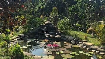 Jardim