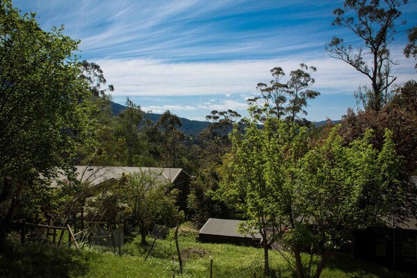 Buttercuphill B&b - Warburton