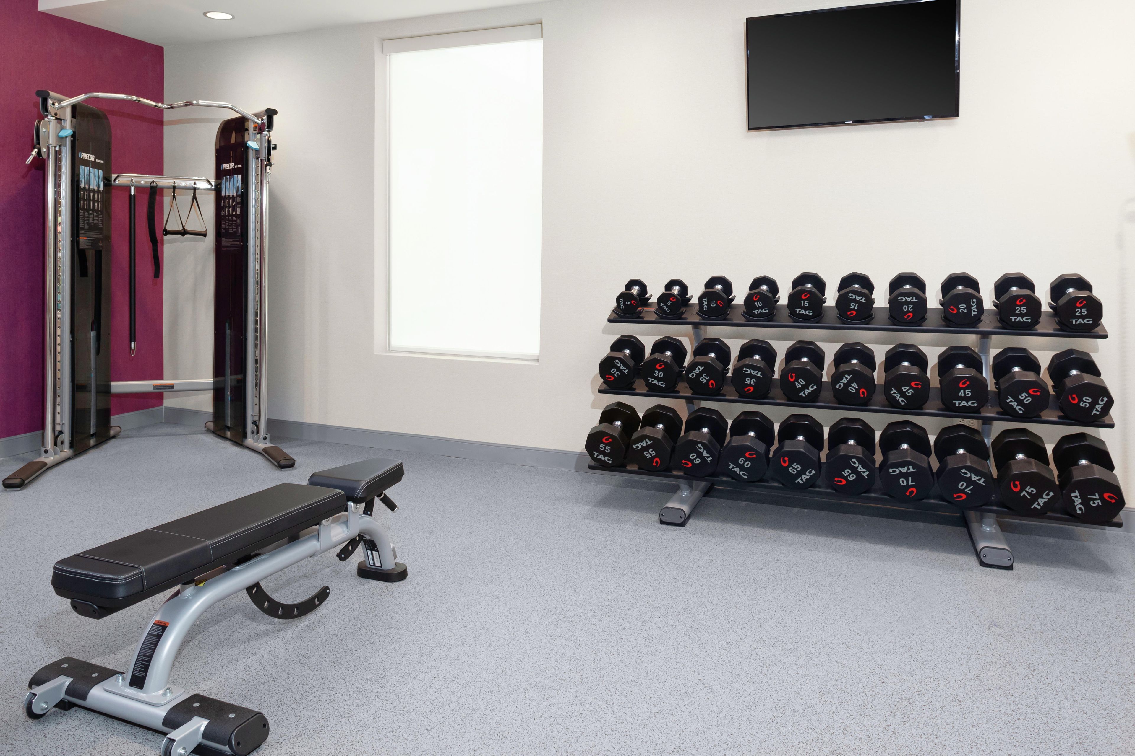 Uma academia com equipamentos de musculação, halteres e um banco.