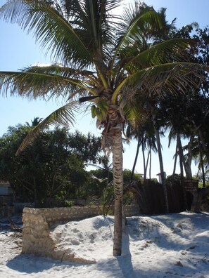 Na praia, mergulho 
