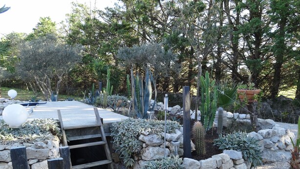 Um jardim com deck de madeira, paredes de pedra e diversos cactos e suculentas.