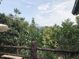 Vista da propriedade