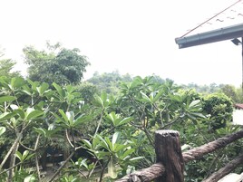 Vista da propriedade