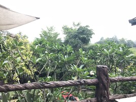 Vista da propriedade