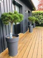 Terrenos do alojamento