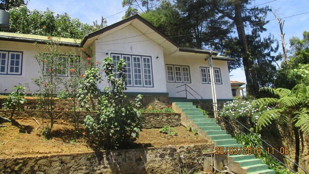 Uma casa de dois andares com uma escadaria que dá acesso ao andar superior, cercada por vegetação e árvores.