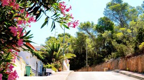 Área da propriedade