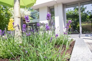 Um jardim com plantas de lavanda e um banco sob um guarda-sol verde.