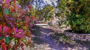 Um caminho no jardim com muros de pedra e diversas plantas.