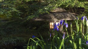 Um jardim japonês tradicional com um lampião de pedra, vegetação exuberante e íris em flor.