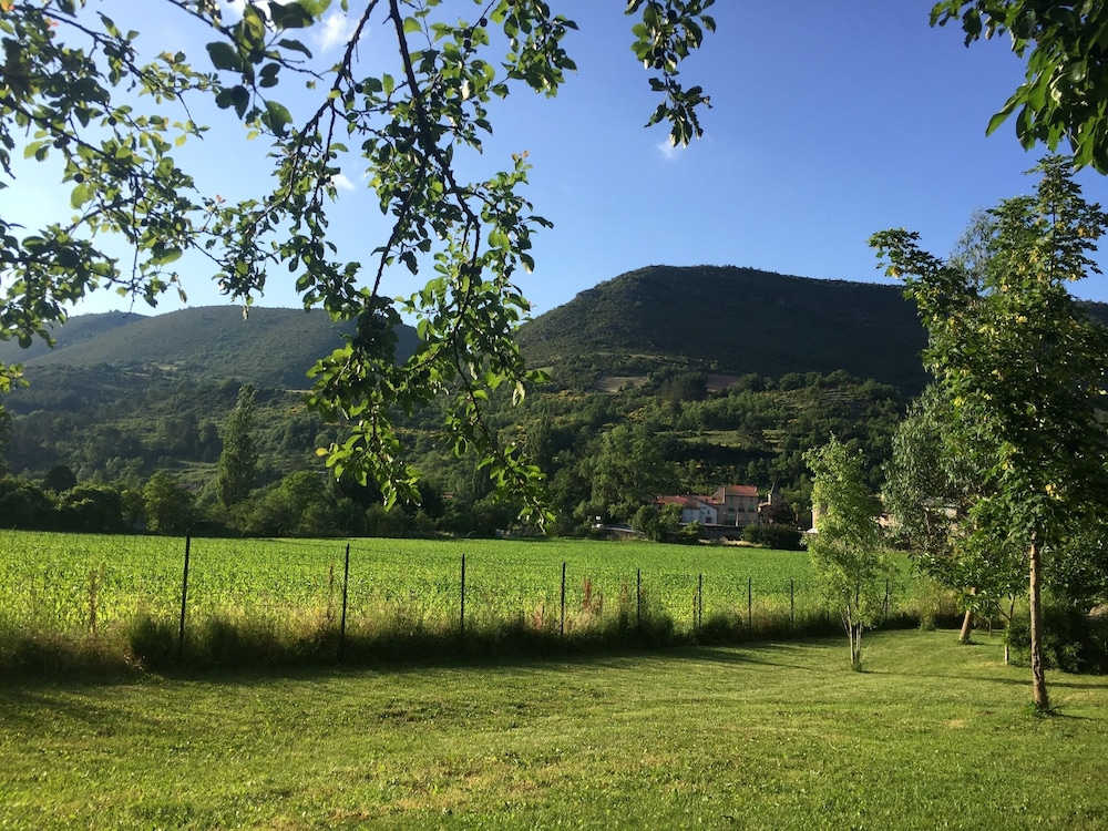 Le Chat Blanc - Aveyron