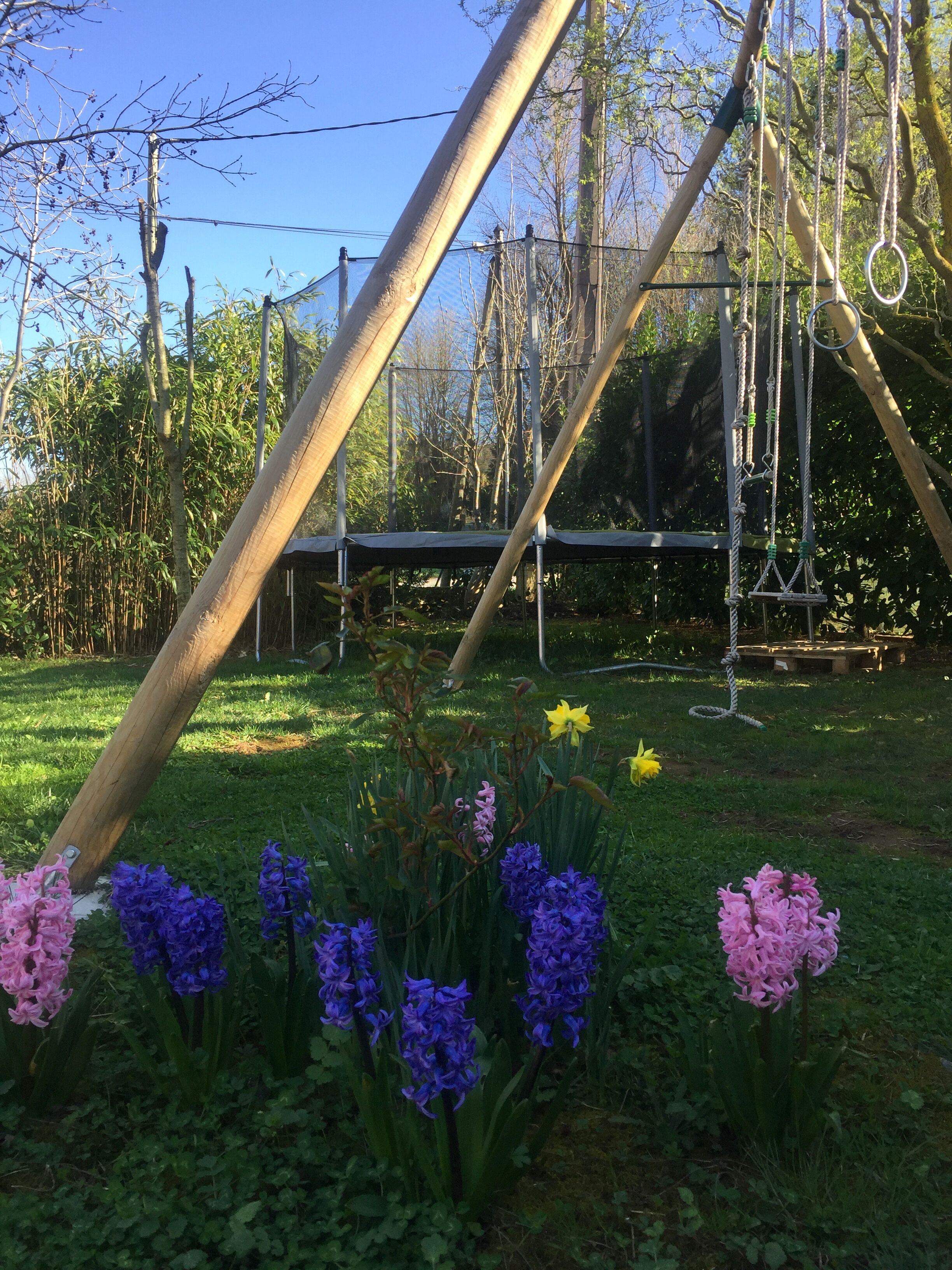 Um parquinho com uma ponte de corda e balanços, cercado por vegetação e flores.