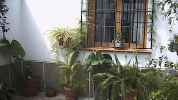 Área da propriedade