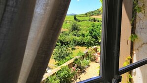 Visão pela janela com cortina, mostrando paisagem de vinhedo com campos verdes e céu claro.